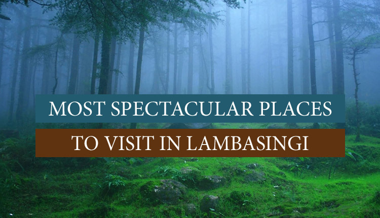 5 Most Spectacular Places to Visit in Lambasingi in 2025