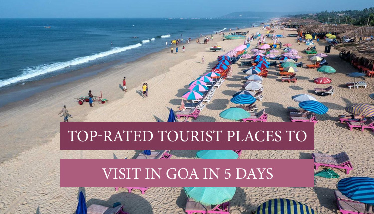 7 The Best Tourist Places to visit in Goa in 5 days In 2024