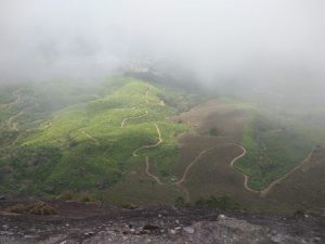 9 Best Honeymoon Places in Munnar for Honeymoon Couples in 2025