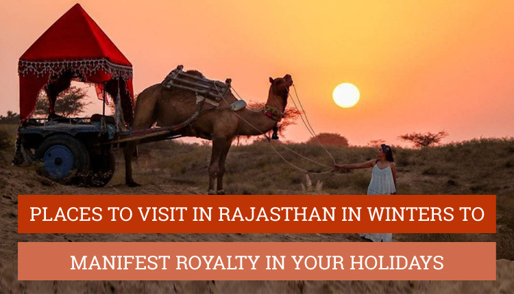 11 The Best Tourist Places to visit in Rajasthan in Winters 2024