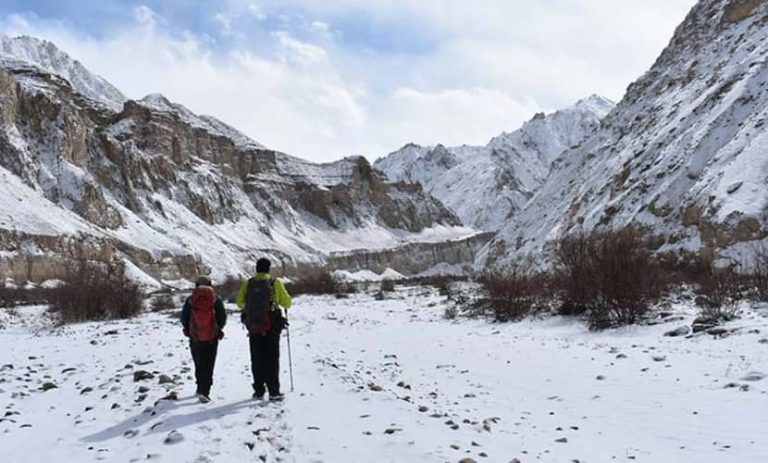 Snow Leopard Trek 2024- A Popular Trek in Ladakh